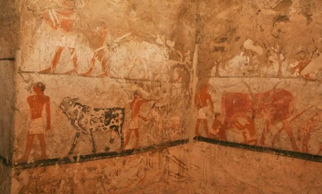 Goddess Hathor's Fifth Dynasty Priestess Hetpet's Tomb Unveiled A ...