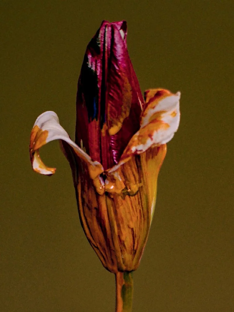 Zee Nunes Captures Lily Nova 'Poder Feminino' For Vogue Brazil March ...