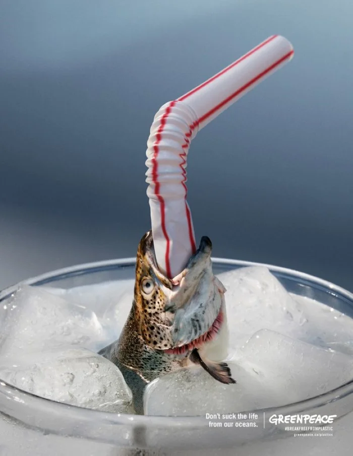 Greenpeace Launches New Anti-Straw Campaign For Ocean Creatures ...