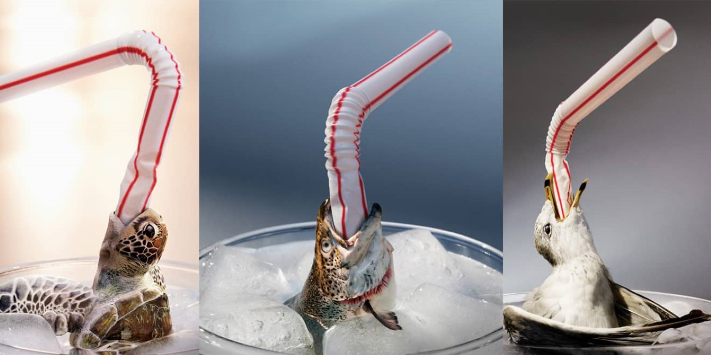 Greenpeace Launches New Anti-Straw Campaign For Ocean Creatures ...