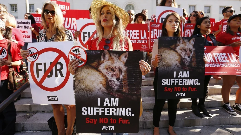 LA Moves To Ban Fur Sales & Manufacture, Following San Francisco, West ...