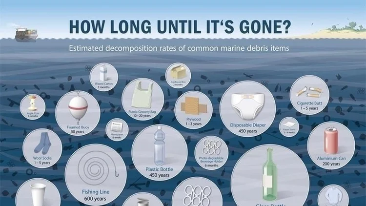 Maine Becomes First State To Ban Styrofoam Food Containers In 2021 ...