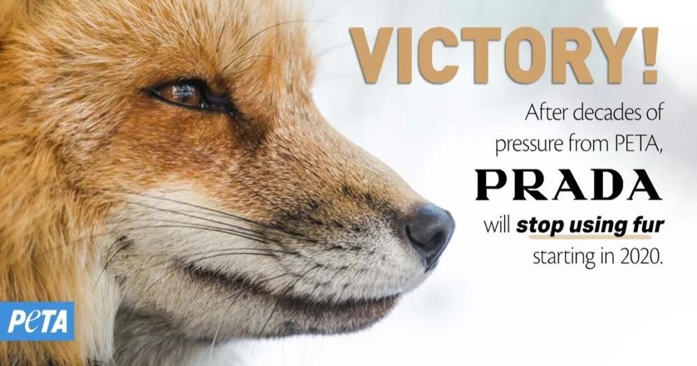 Prada Goes Fur Free In All Company Brands Starting With Spring 2020 ...