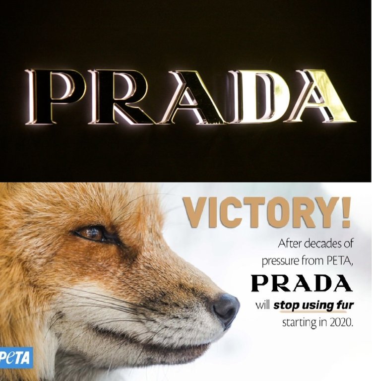 Prada Goes Fur Free In All Company Brands Starting With Spring 2020 ...