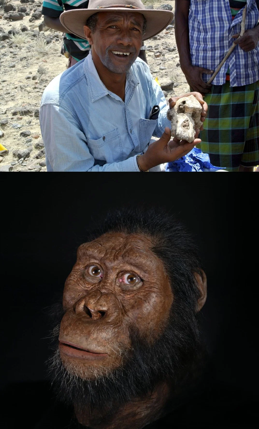 A 3.8-Million-Year-Old Skull Puts a New Face on a Little-Known Human ...