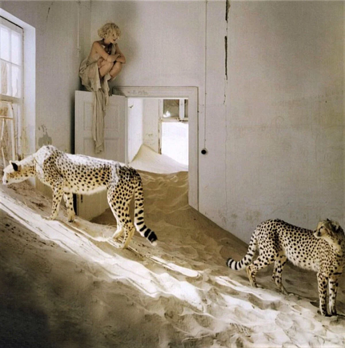 Agyness Deyn | Tim Walker | Vogue UK May 2011 — Anne of Carversville