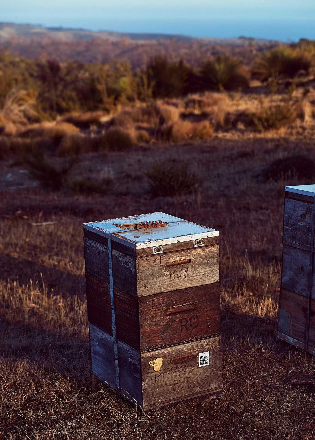 Valeria Rudy by Steven Chee for Grazia Magazine Australia — Anne of ...