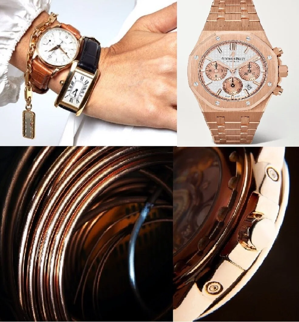 5 Luxury Watches with Remarkable Case Backs — Anne of Carversville