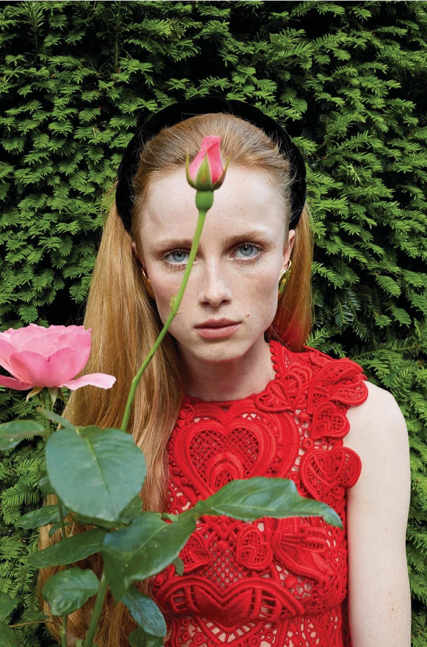 Rianne Van Rompaey Archives @ AOC — Anne of Carversville