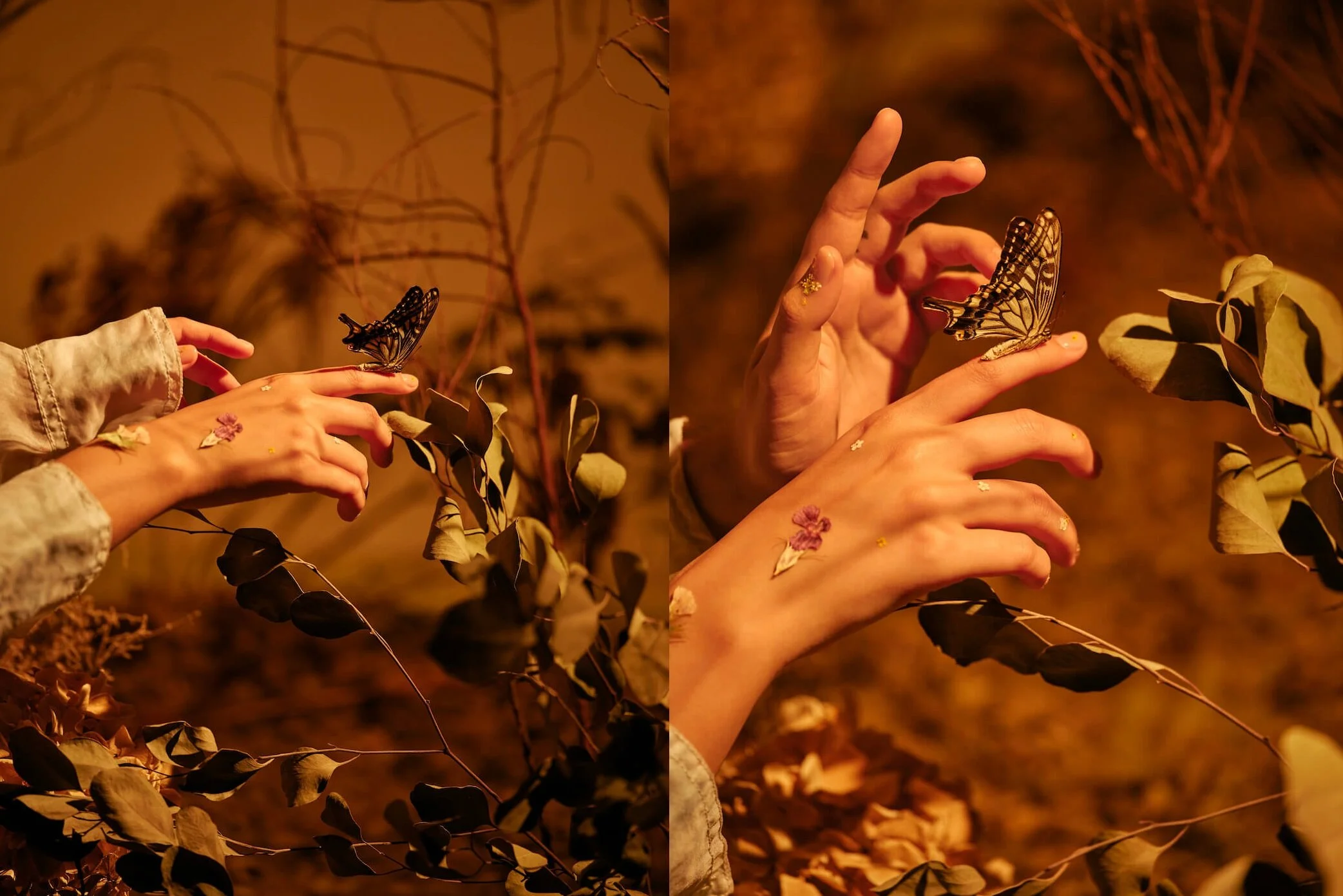 Chelle Chan's 'Unparalleled Ground' Natural Utopia for KALTBLUT ...