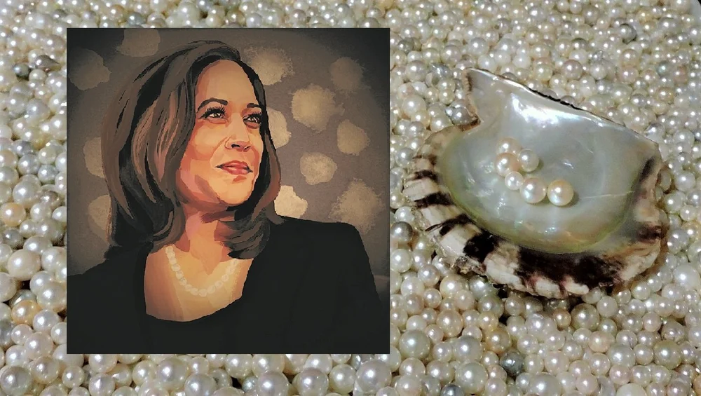 Joe Biden and Kamala Harris Assume Leadership of USA — Anne of Carversville