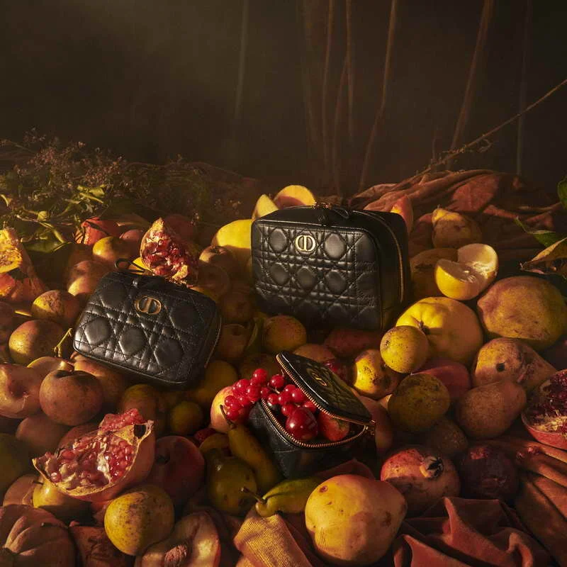 Dior Intoxicates Our Senses in 2021 Accessories Campaign — Anne of ...