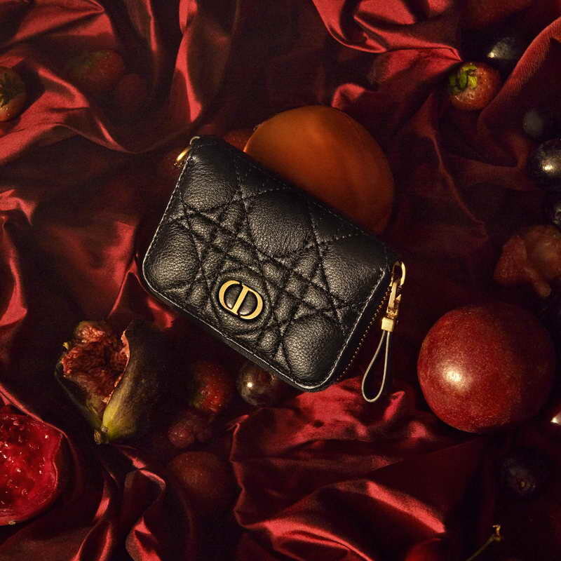 Dior Intoxicates Our Senses in 2021 Accessories Campaign — Anne of ...