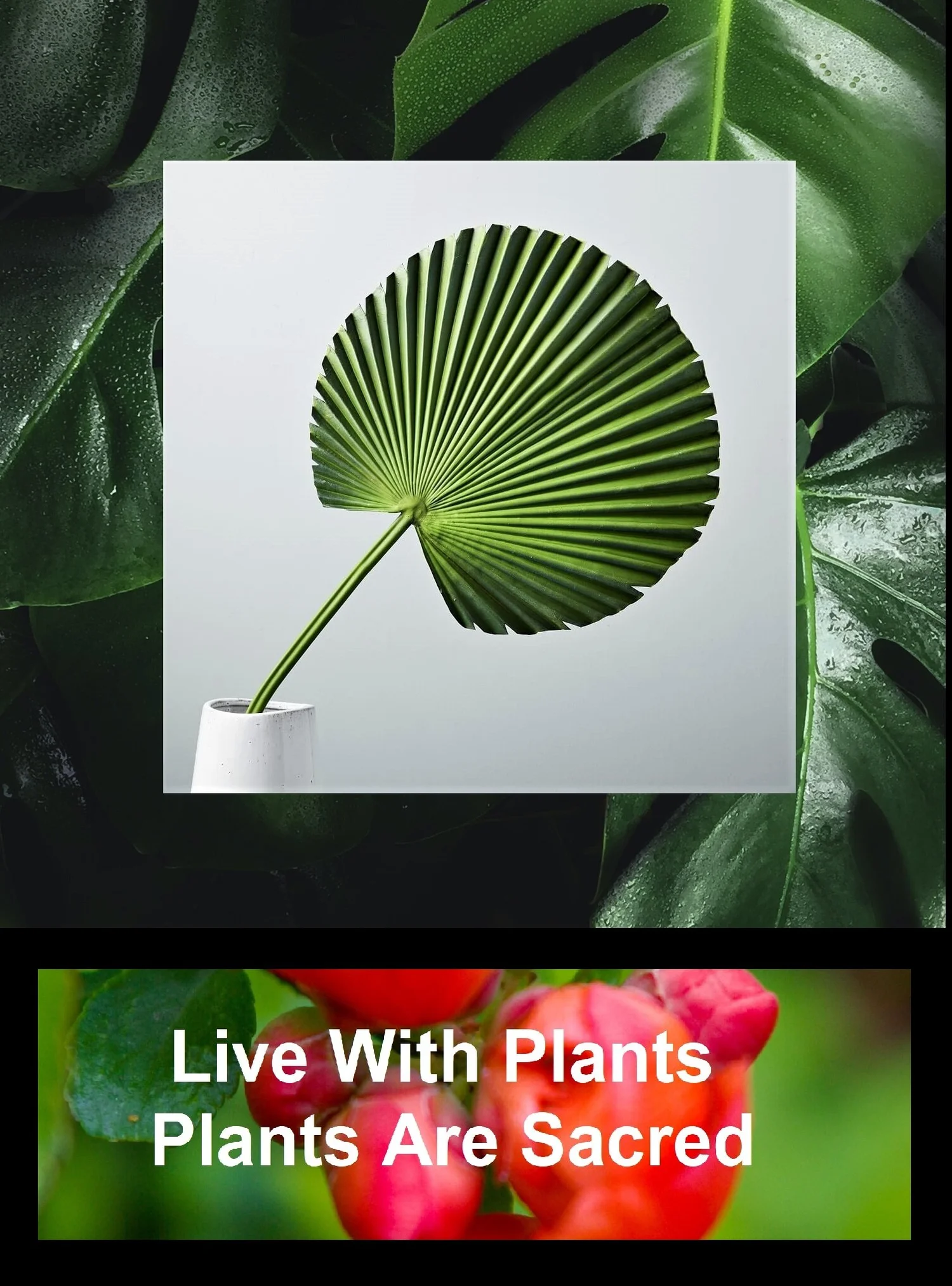 Fake Poser Plants vs the Many Health Benefits of Real Plants — Anne of ...