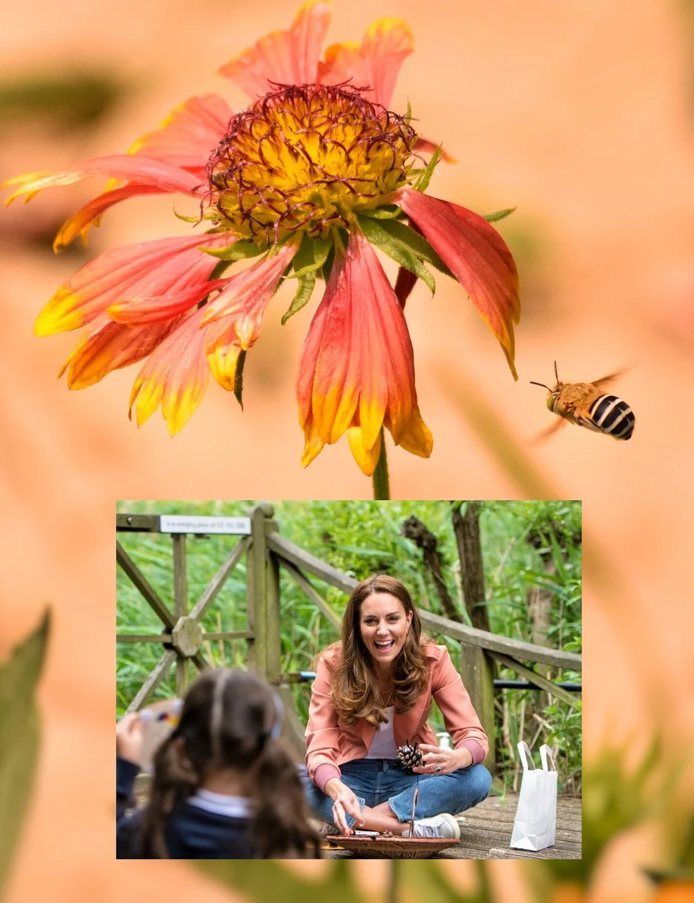 Kate Middleton, Beekeeper, Delivers Her Own Honey to Urban Nature ...