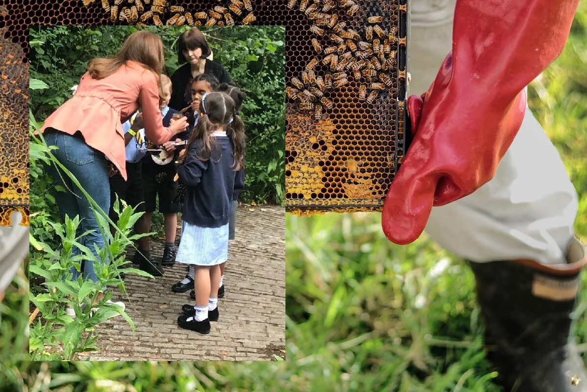 Kate Middleton, Beekeeper, Delivers Her Own Honey to Urban Nature ...