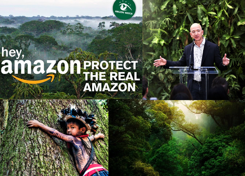 Tech Giant Amazon Rolls Out Amazon Rainforest Carbon Offset Project ...