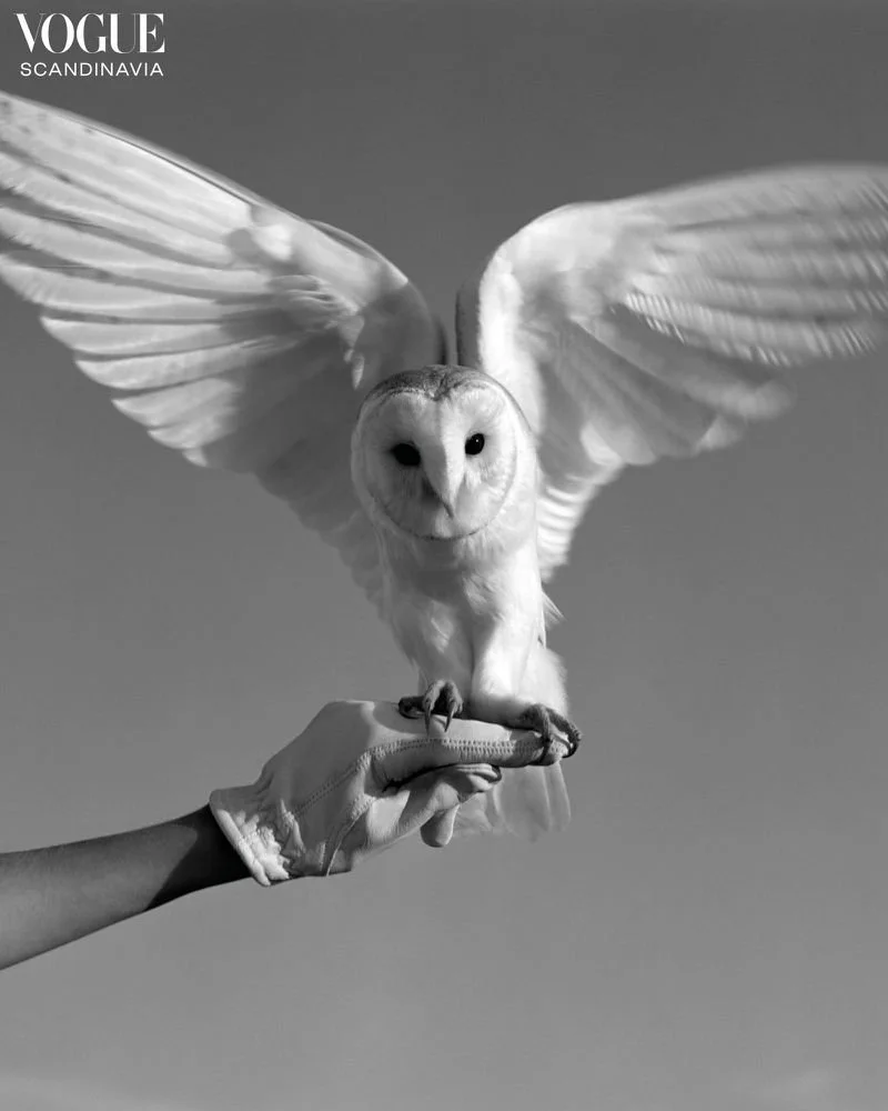 Bente Oort in 'Superfly' by Ben Toms for Vogue Scandinavia — Anne of ...