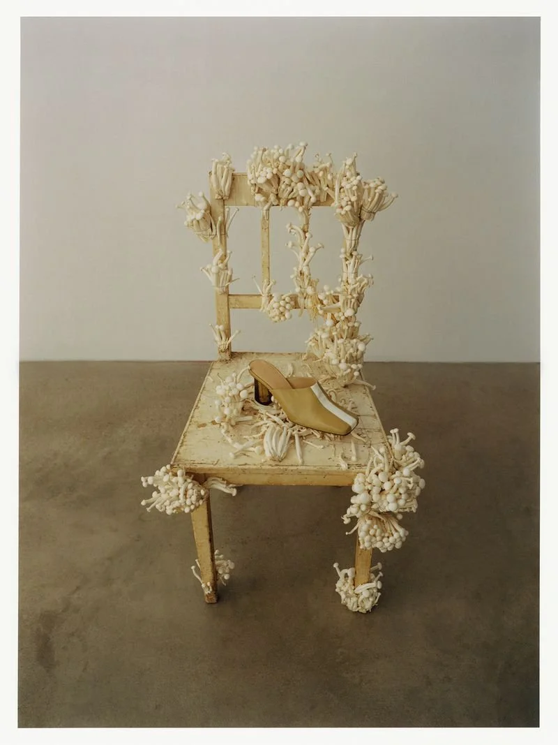 Signe Veiteberg's Mushroom Promise in Vogue Poland January 2022 — Anne ...