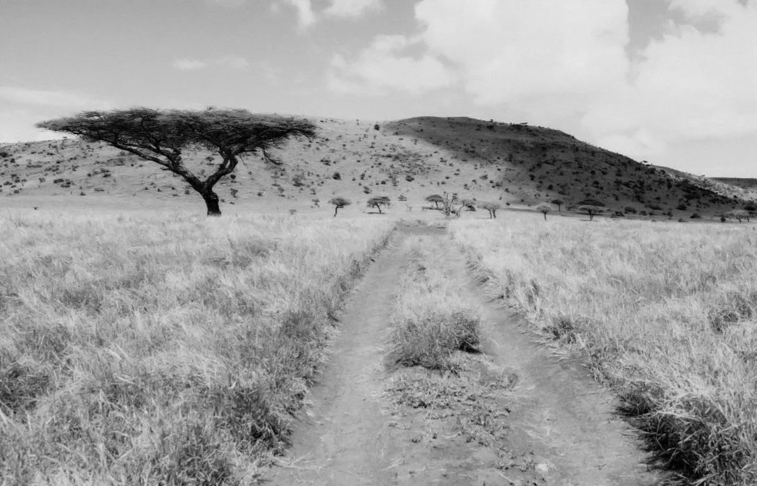 Anja Rubik at Kenya Lewa House | Chris Colls ELLE France Pt-2 — Anne of ...