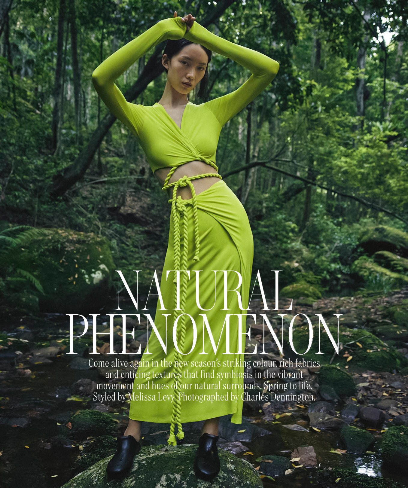 Charles Dennington's 'Natural Phenomenon' and a Plantiful Plea — Anne ...