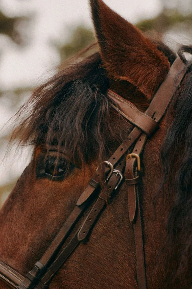 Ralph Lauren Polo RLX Women's Campaign Spring 2022 — Anne of Carversville