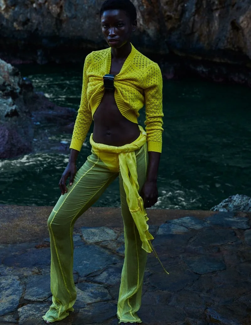 Wayne Booth's Yellow Style in Madame Figaro by David Roemer — Anne of ...