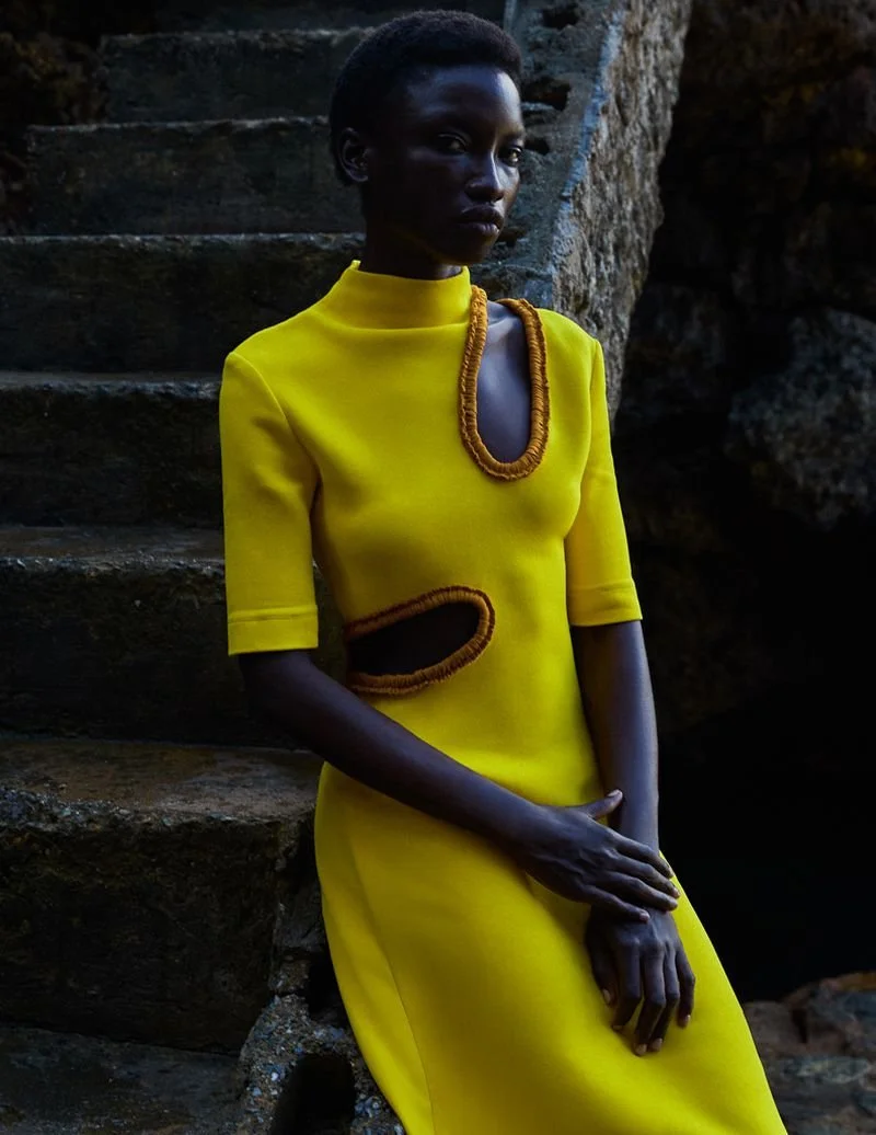 Wayne Booth's Yellow Style in Madame Figaro by David Roemer — Anne of ...