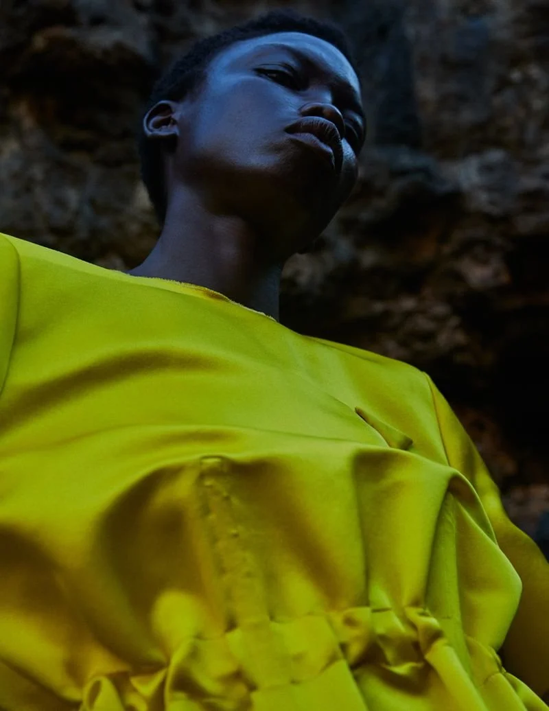 Wayne Booth's Yellow Style in Madame Figaro by David Roemer — Anne of ...