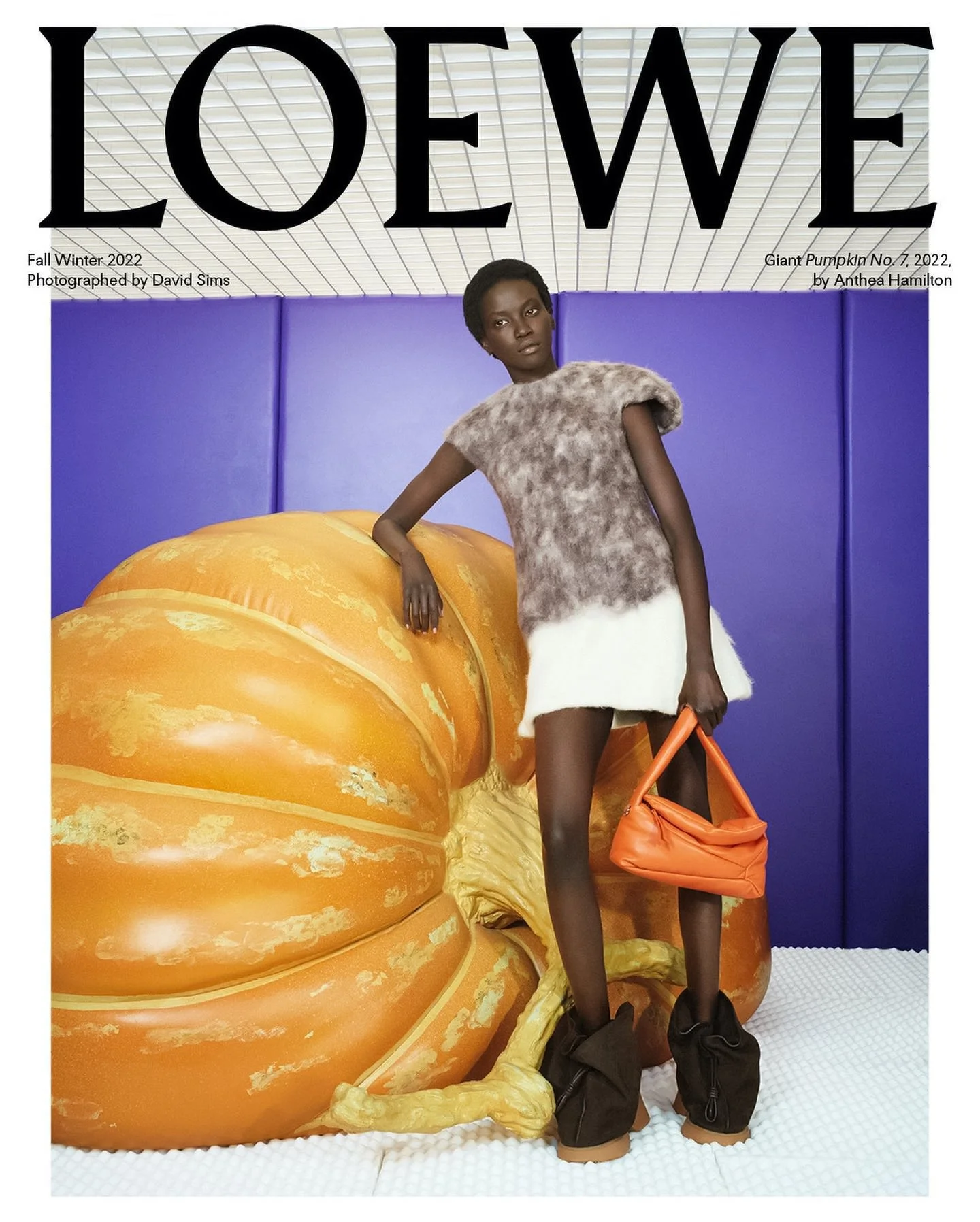 David Sims Eyes LOEWE FW 2022 Campaign Anthea Hamilton Pumpkins — Anne ...