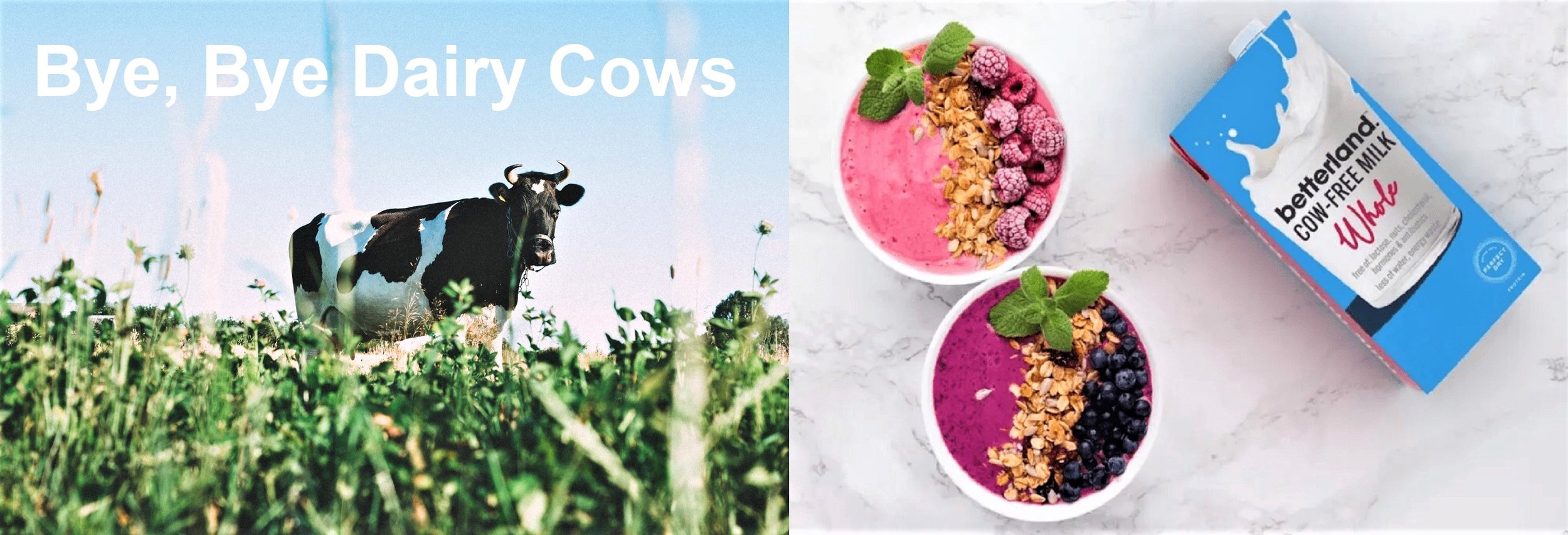 Fashion, Living News Creatives