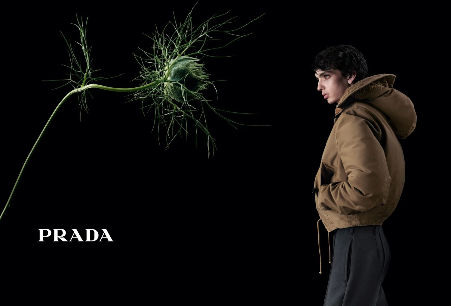 Flower Power Takes Charge in Prada AW 2023 Campaign — Anne of Carversville