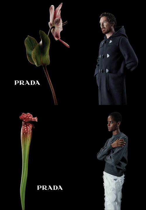 Flower Power Takes Charge in Prada AW 2023 Campaign by Willy ...