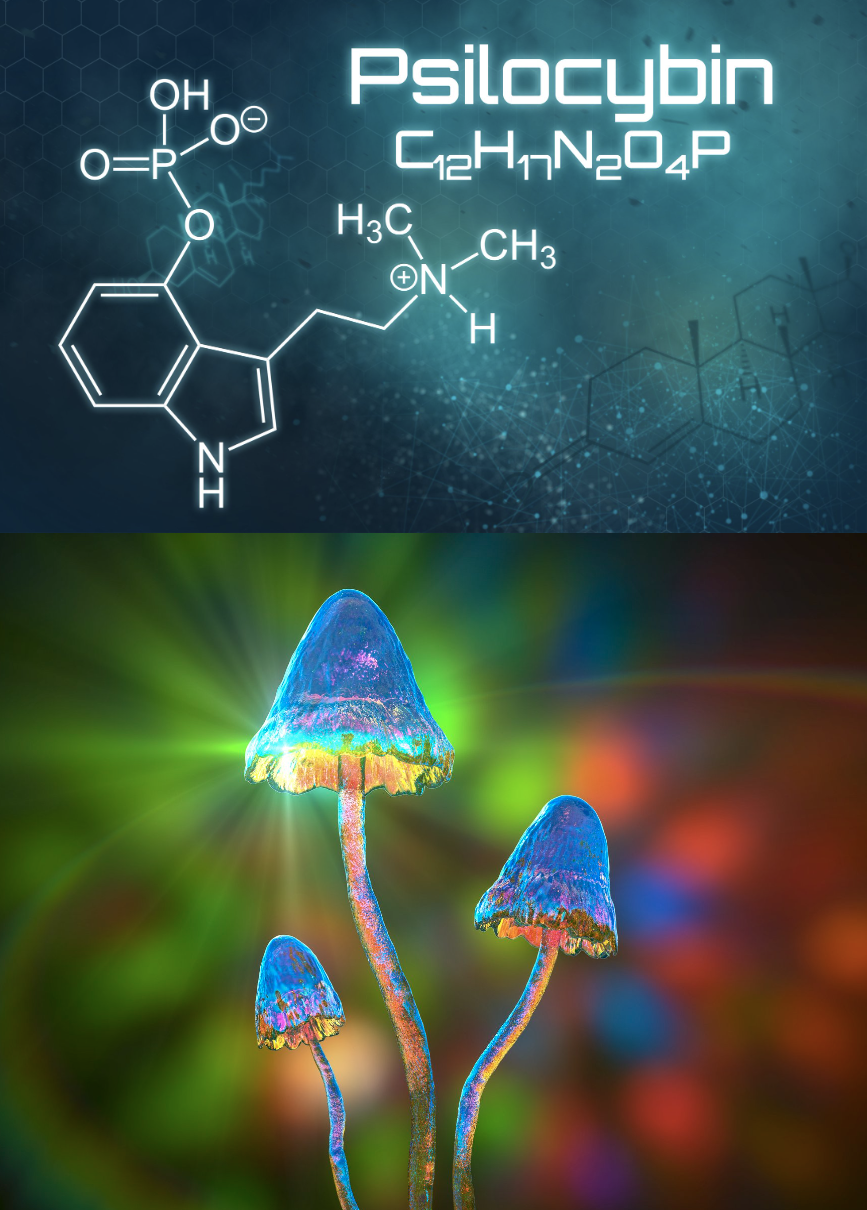 Psilocybin Mushrooms: An Exploration of Their Uses and Benefits in New ...