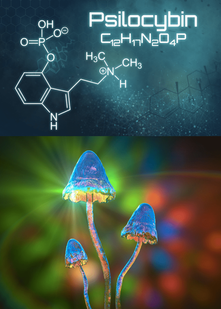 Psilocybin Mushrooms: An Exploration of Their Uses and Benefits in New ...