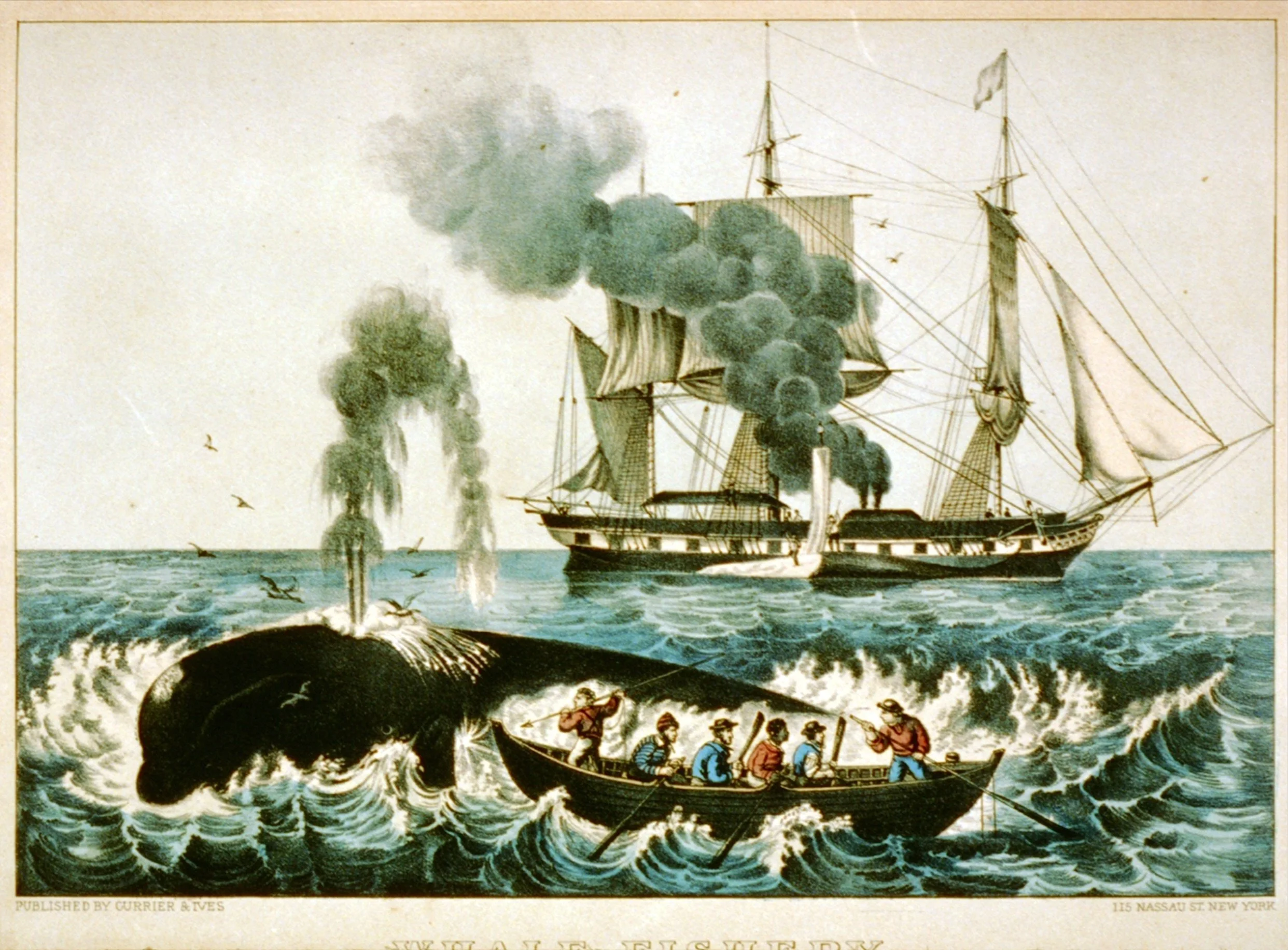 Black Americans' Success in New England's Whaling Industry — Anne of ...
