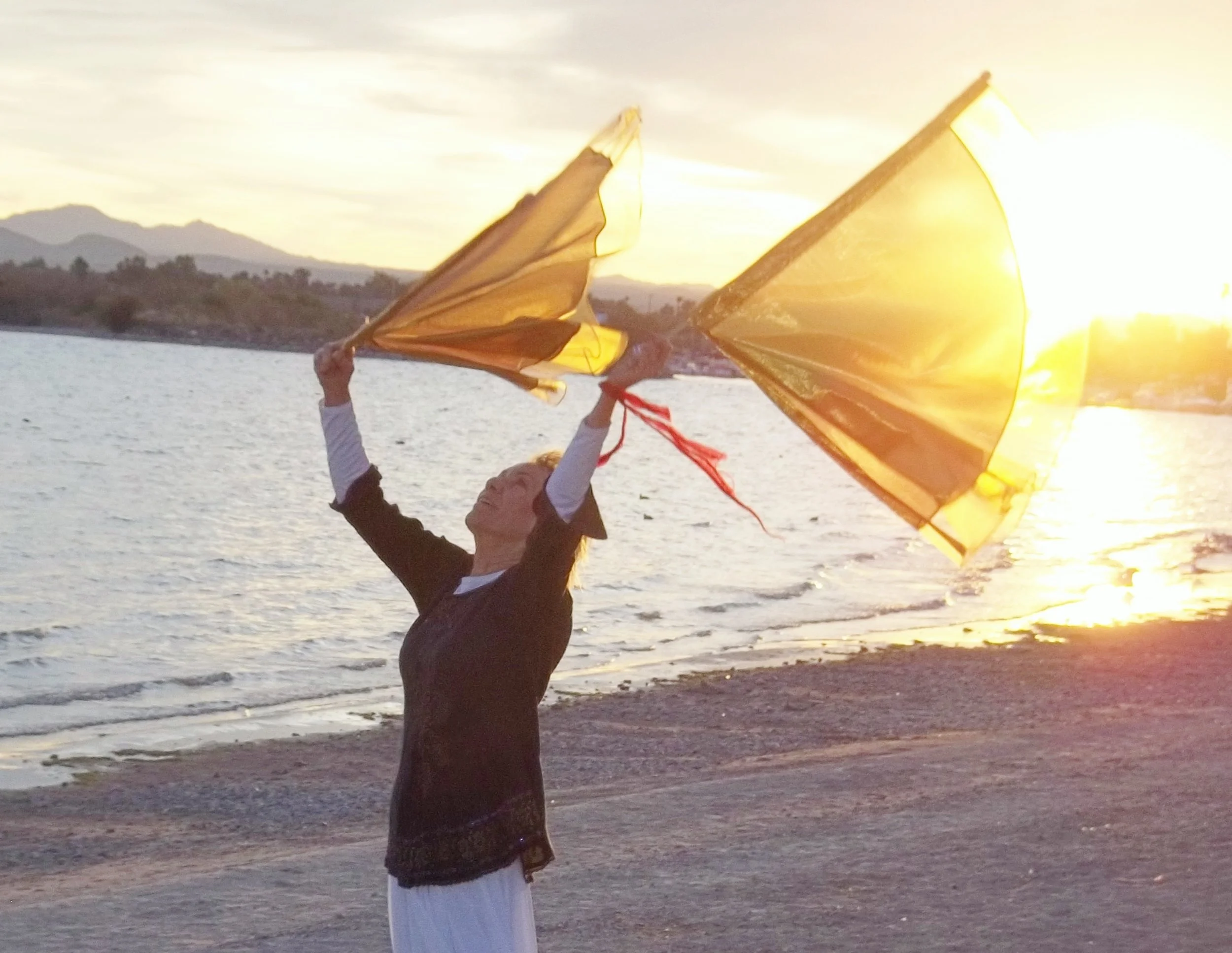 Burning Bush-Flag- — The Banners of Love Ministries