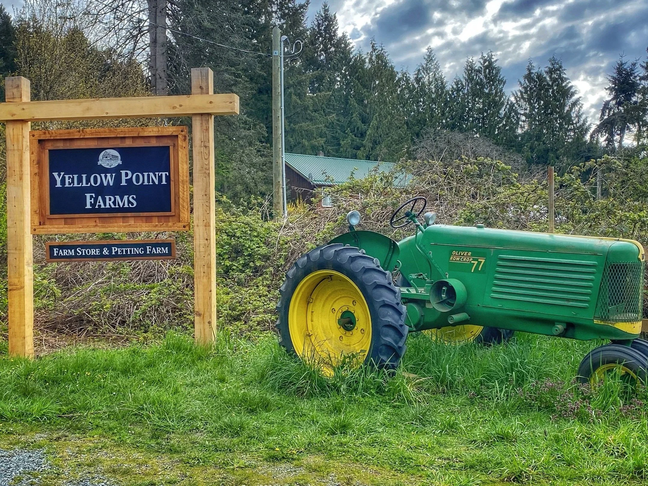 Cedar Yellow Point Artisan Association