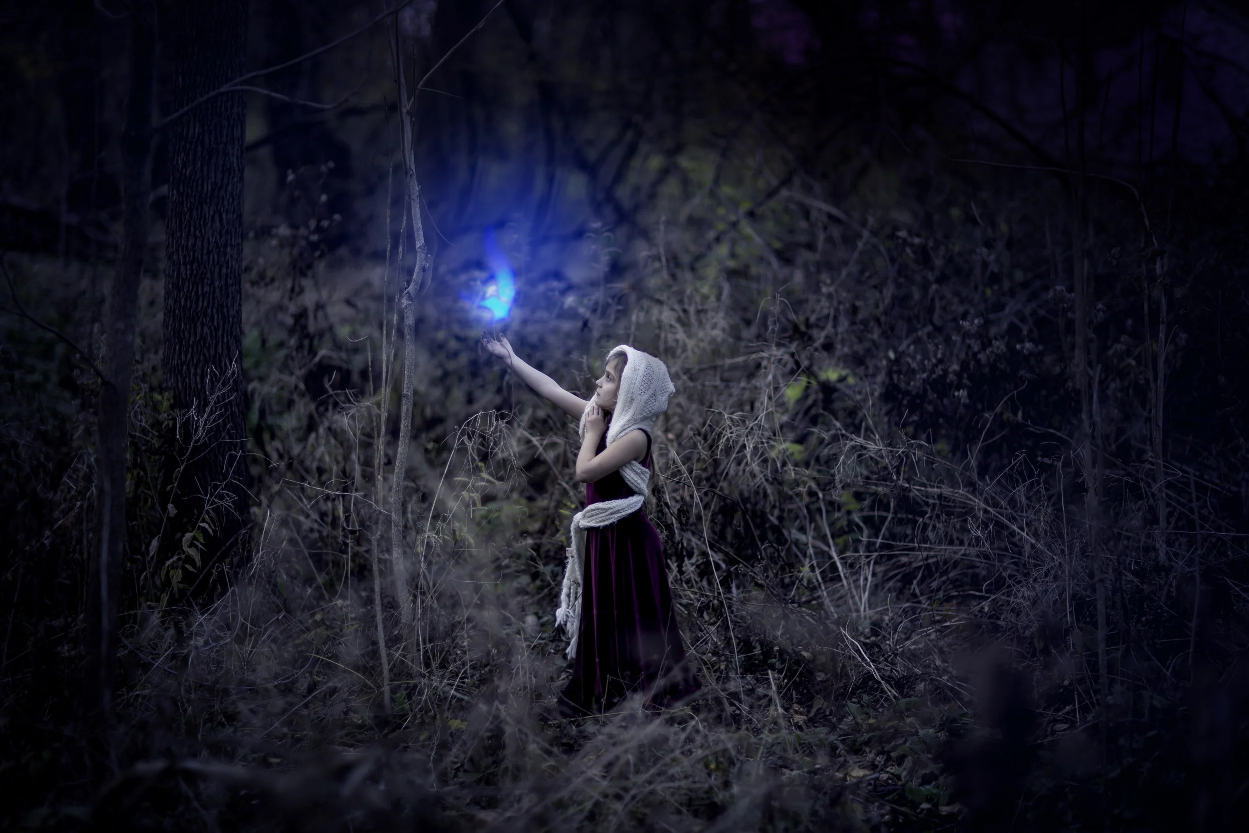 Real Will O The Wisp