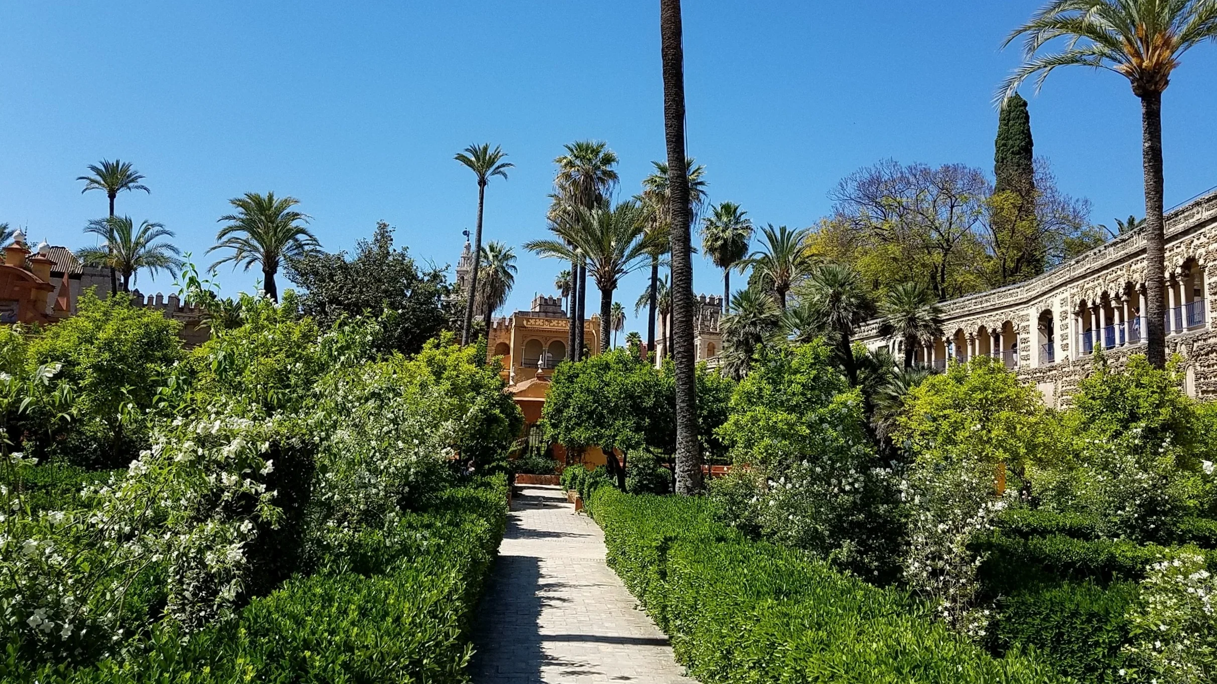 Discovering Moorish Spain with G Adventures — Cruises & Beyond