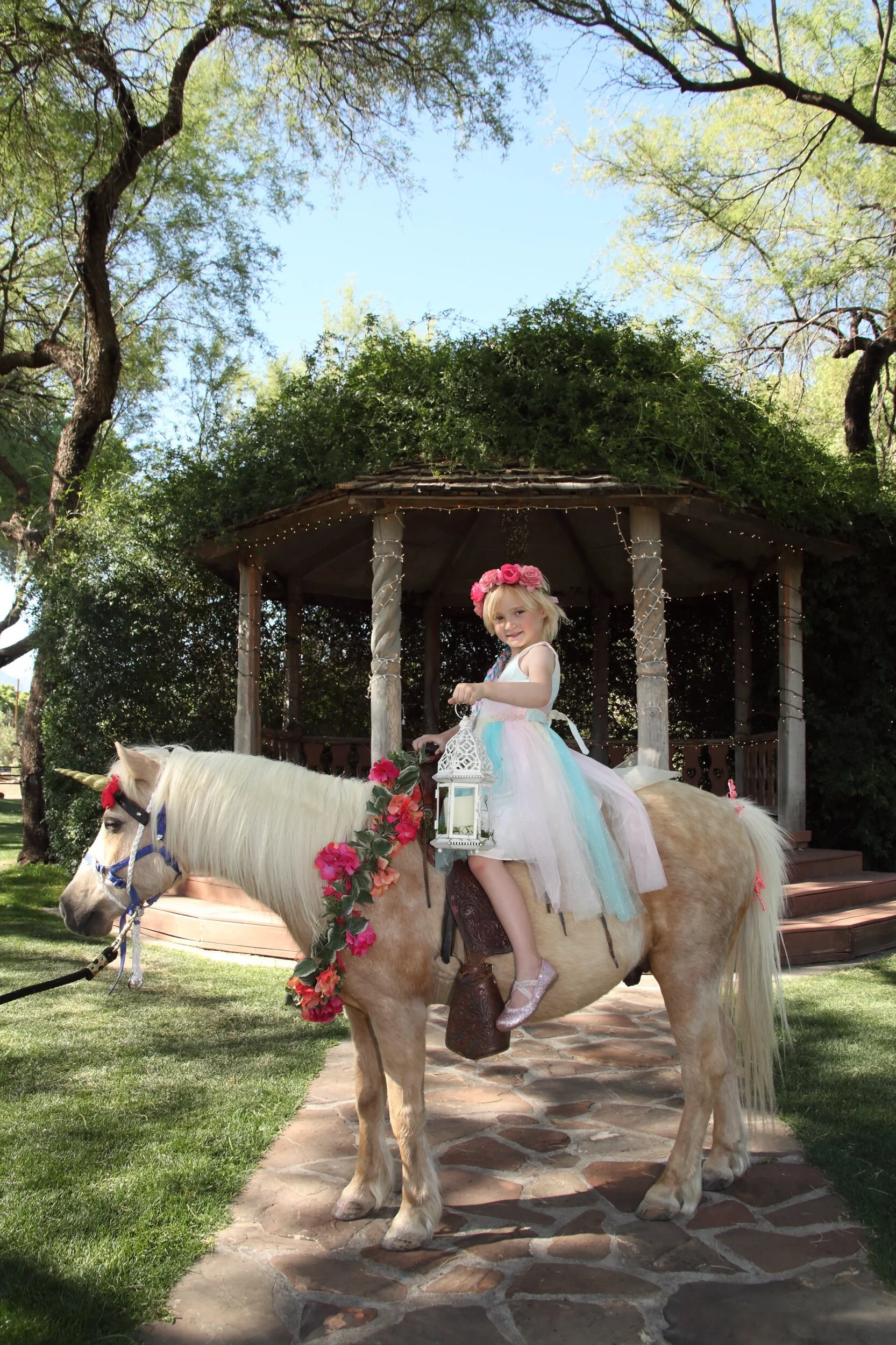 Family Festivals, Birthday Parties, Bridal Fairs and Photography in AZ