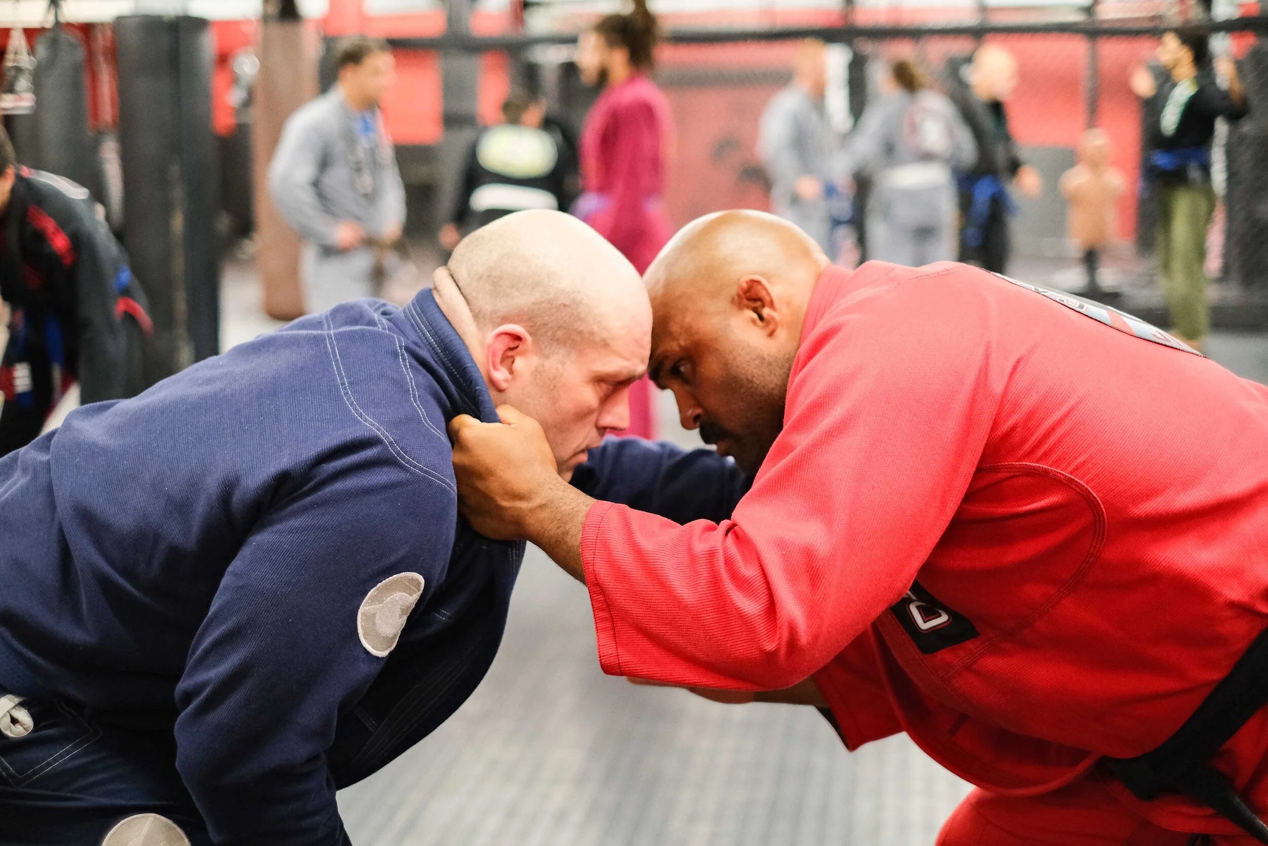 Tri-Force MMA and BJJ — Adult Mixed Martial Arts Programs