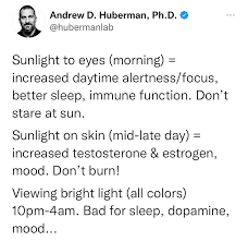 Huberman Says! View Morning and Afternoon Sunlight for Health ...