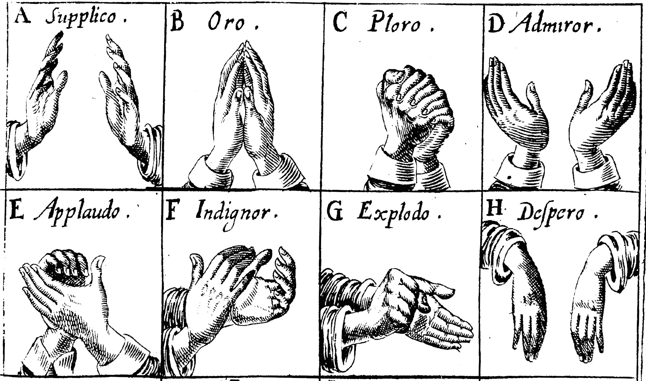 About — Elissa Edwards