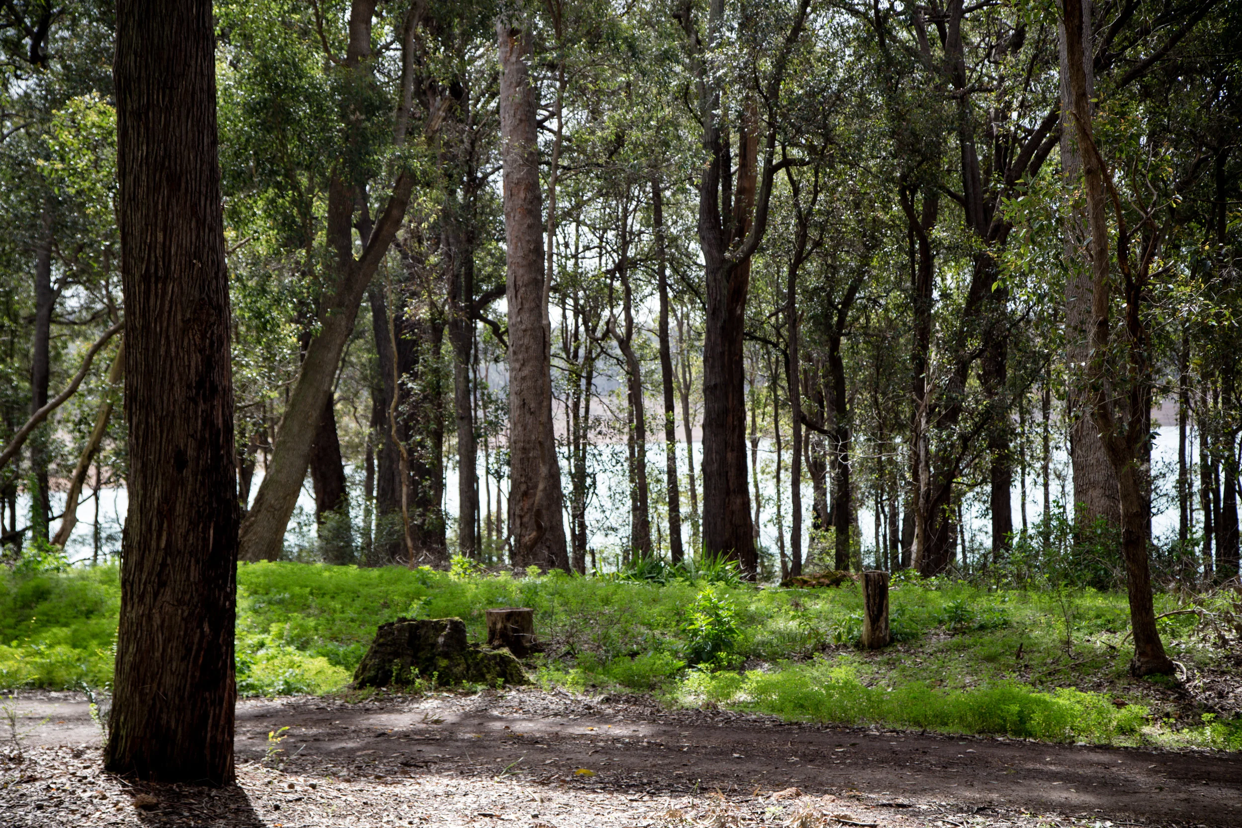 Lake Brockman Tourist Park