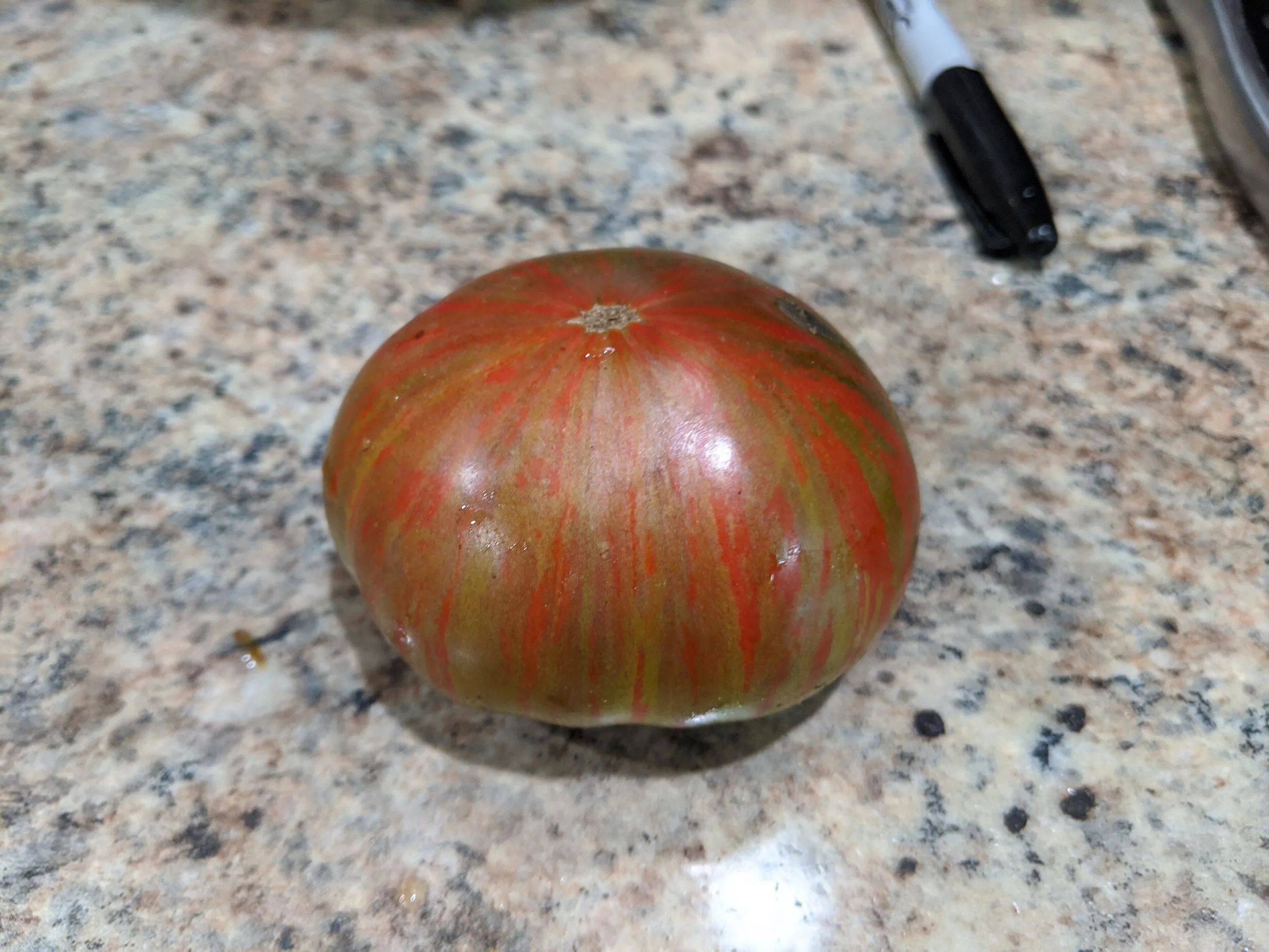 Craig LeHoullier - 2020 Garden Year in Review - Dwarf Tomato Project ...
