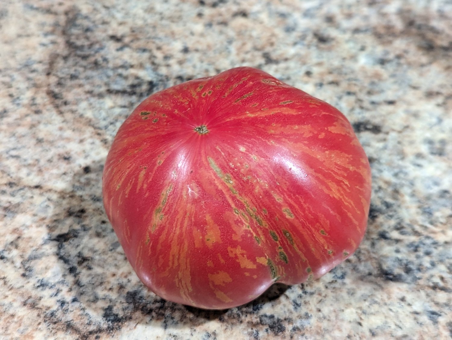 Craig LeHoullier - 2023 Post-season Garden Summary - part 2. Back Yard ...