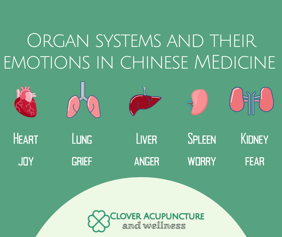 Chinese Emotions And Organs Exploring The Mind Body Connection In