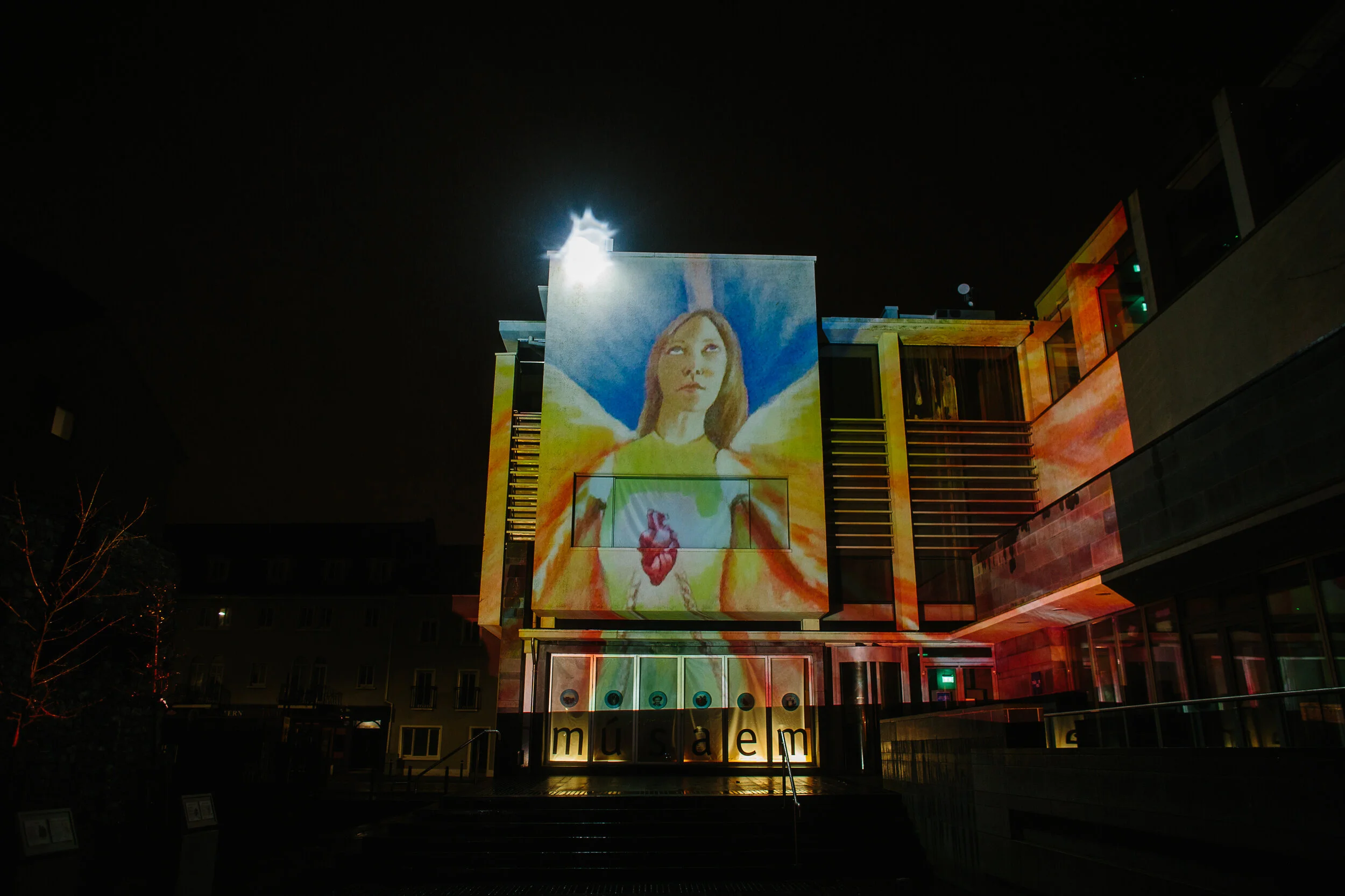 2021 LIGHT SHOW