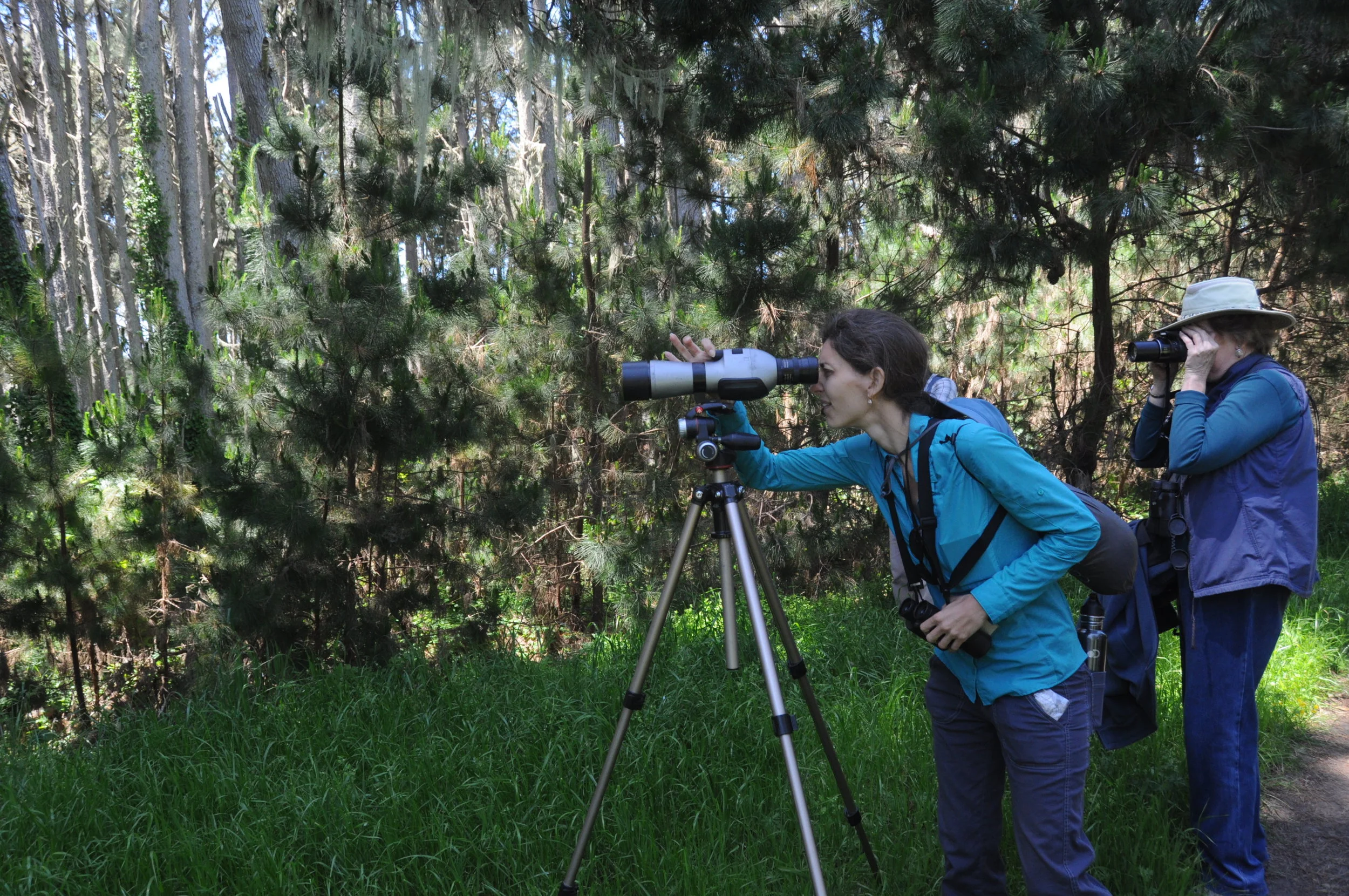 Point Reyes Birding & Nature Festival